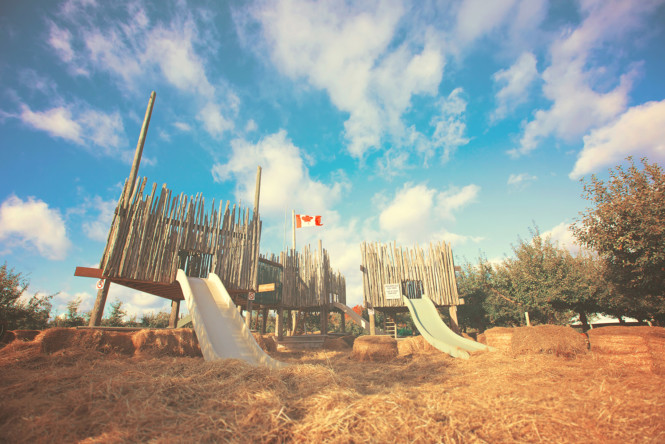 Explore the Farm | Chudleigh’s