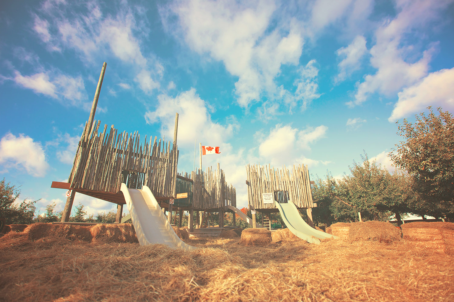 Explore the Farm | Chudleigh’s