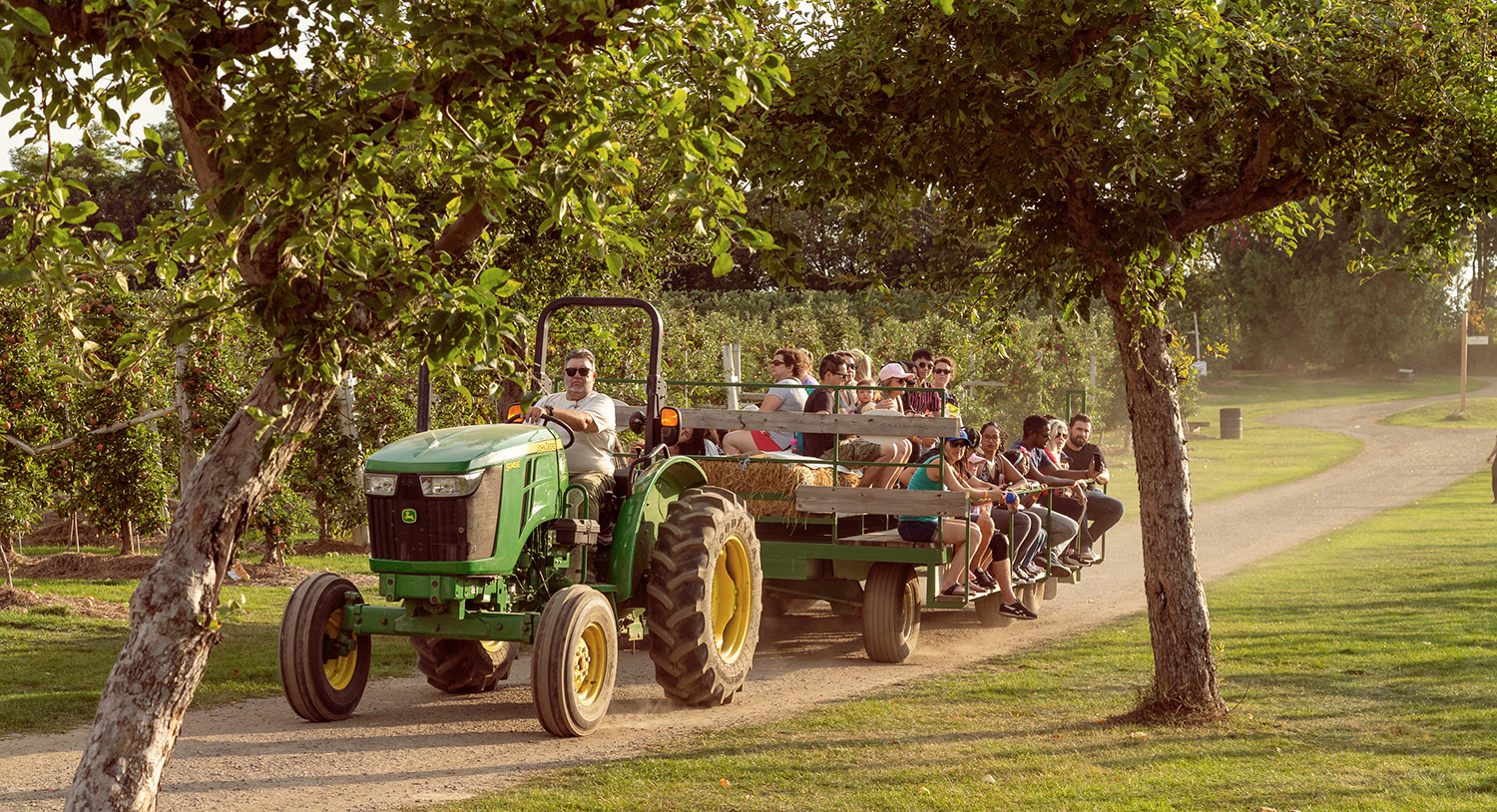 Explore the Farm | Chudleigh’s