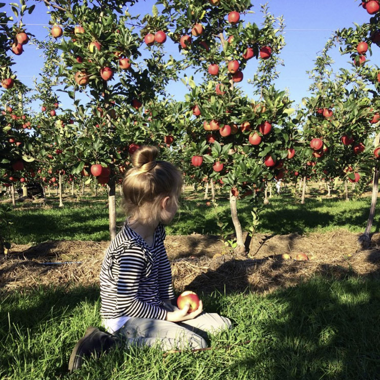 Visit Our Farm | Chudleigh’s